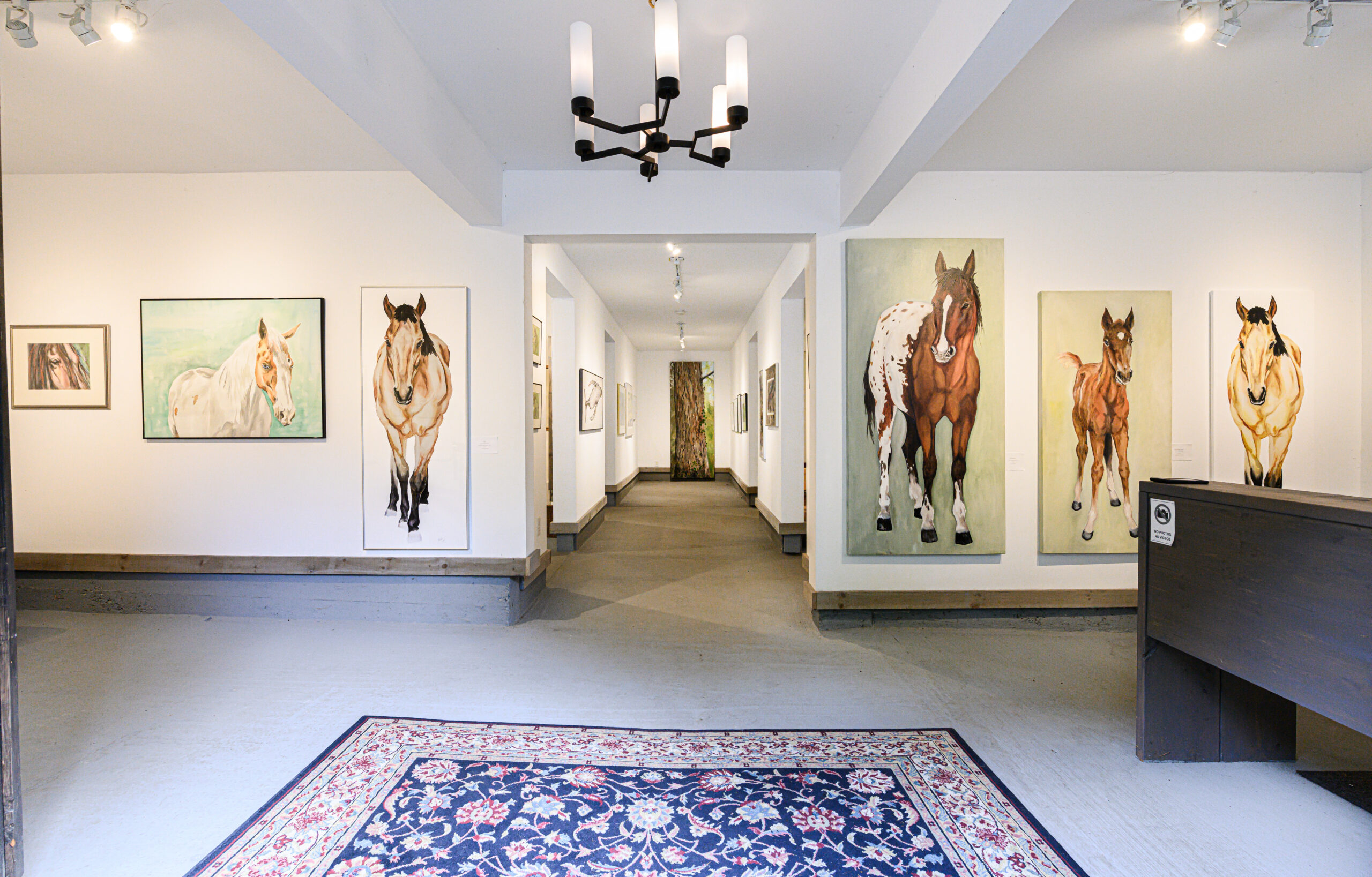 Art in the barn gallery, realistic and accessible local art